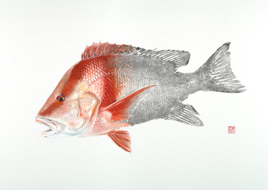 Red Emperor Print – Salty Bones Gyotaku