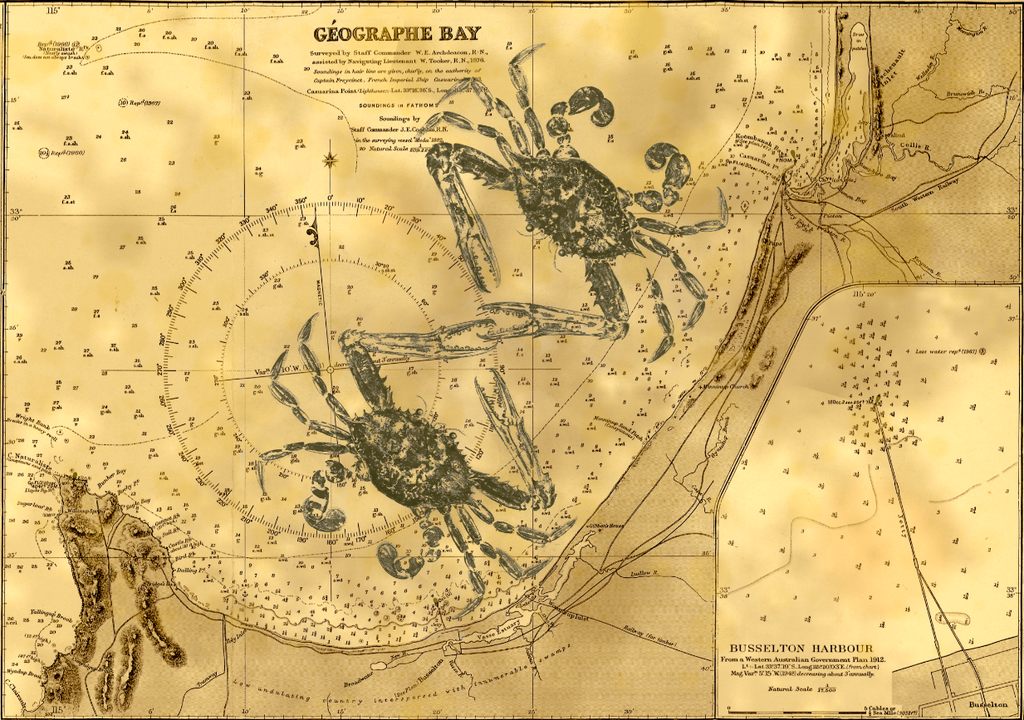 LIMITED EDITION - "Geographe Bay Blue Manna" 1/30 – Salty Bones Gyotaku